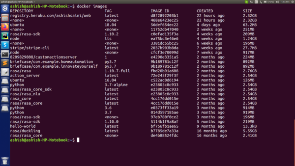 How 2 Completely Work Inside Docker Container Rasa Innovate Yourself